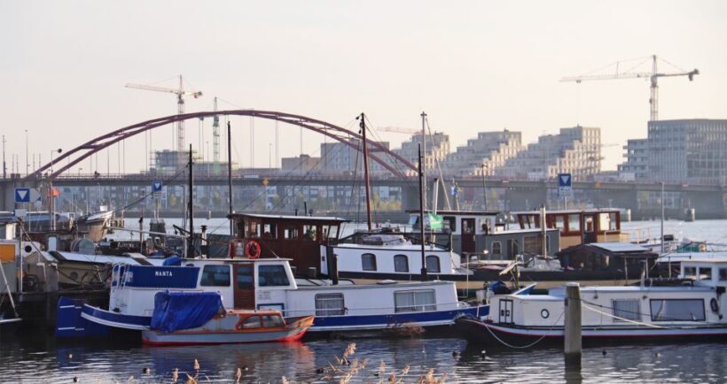 Amsterdam: Bike Tour (Noord) in German or English - The Experience: What You Can Expect