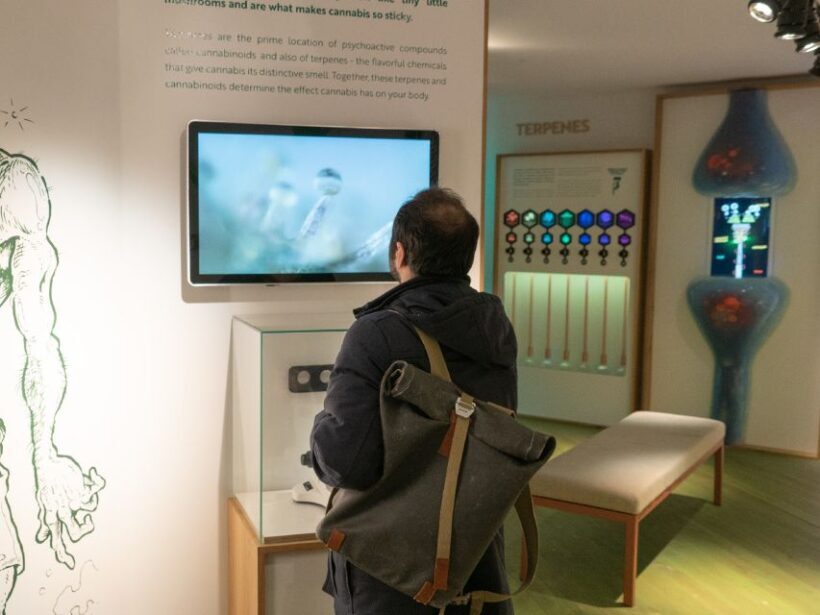 Amsterdam: Cannabis Museum Entry Ticket - What to Expect at the Cannabis Museum Amsterdam