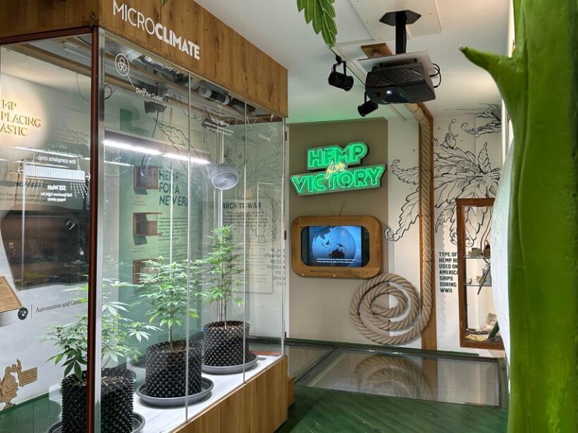 Amsterdam: Cannabis Museum Entry Ticket - The Small but Impactful Space