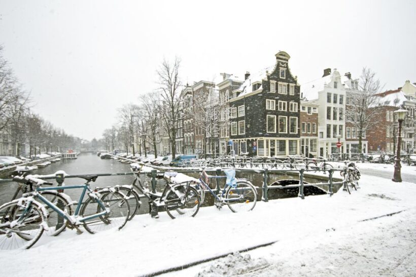 Amsterdam: Christmas Lights and Festive Delights - Key Points