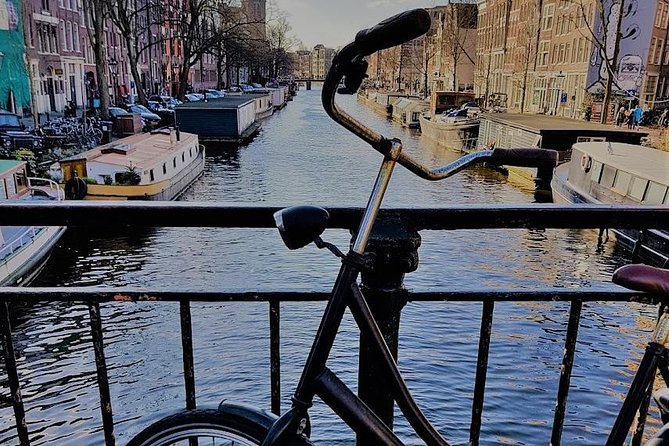 Amsterdam City & Countryside Tour: The Best of both Worlds - The Sum Up