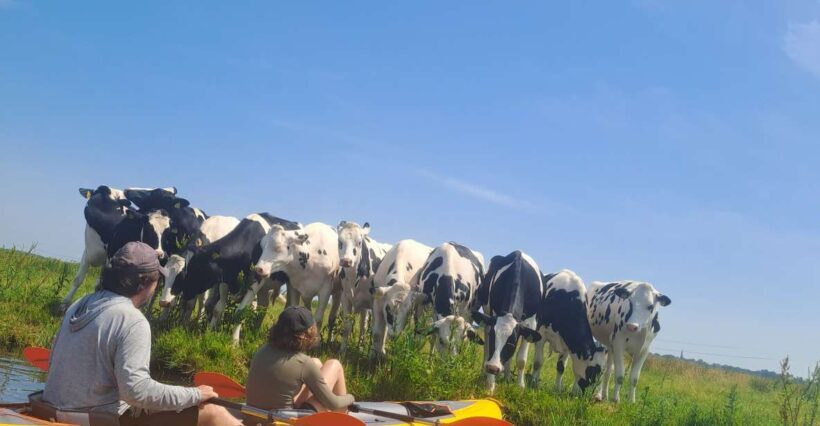 Amsterdam: Countryside Bike and Kayak Guided Tour - Discover the Best of Dutch Countryside on the Amsterdam Bike and Kayak Tour