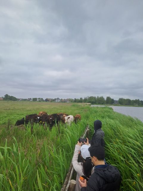 Amsterdam: Countryside Bike and Kayak Guided Tour - An In-Depth Look at the Amsterdam Countryside Bike and Kayak Tour