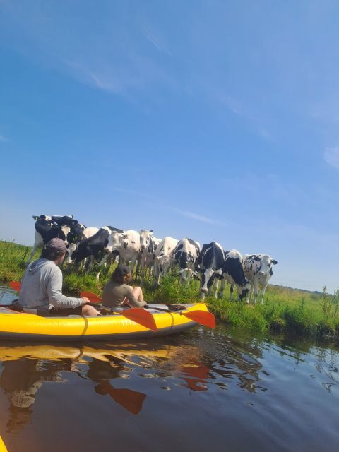 Amsterdam: Countryside Bike and Kayak Guided Tour - The Bottom Line