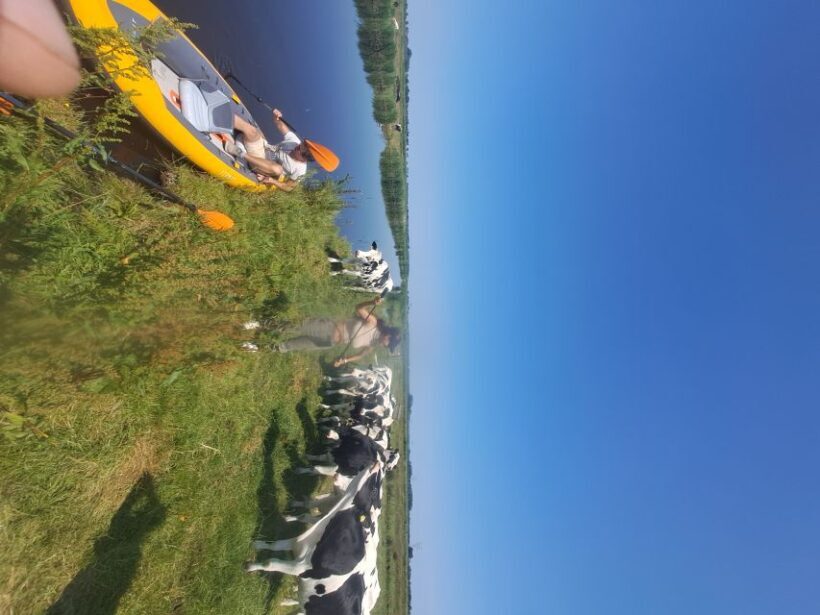 Amsterdam: Countryside Bike and Kayak Guided Tour - Frequently Asked Questions