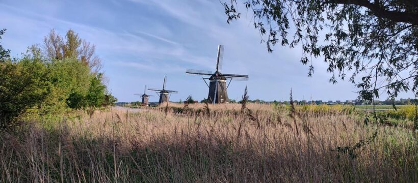 Amsterdam & Countryside Private Tour by premium car - Heading North: Waterland and Beyond
