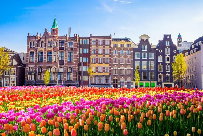 Amsterdam Day Trip From Brussels - Independent Exploration Time