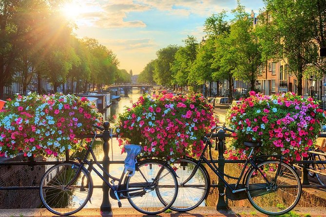 Amsterdam Day Trip From Brussels - Guide and Communication