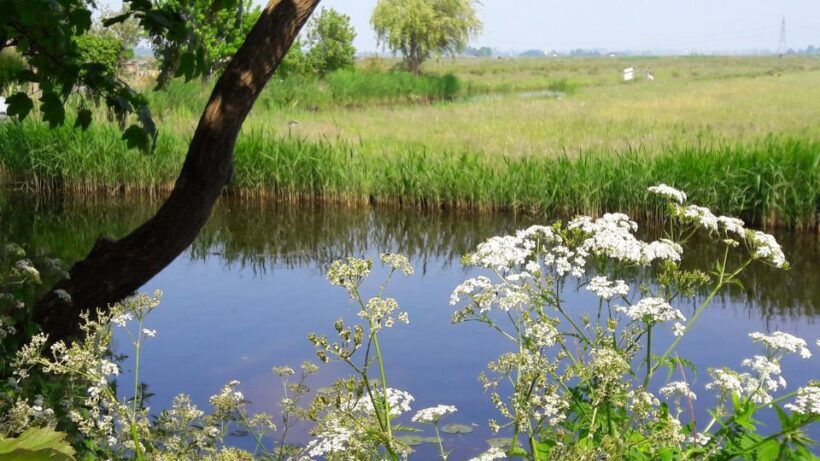 Amsterdam: Dutch Countryside Sunset Canoe Tour - Who Will Love This Tour?