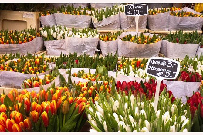 Amsterdam: E-Bike Sightseeing Tour - Participant Information