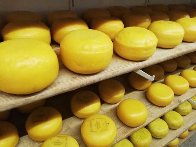 Amsterdam: Full-Day Countryside Tour - Introducing the Amsterdam: Full-Day Countryside Tour
