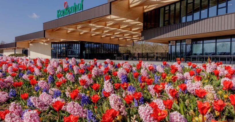 Amsterdam: Half-Day Flower Fields and Keukenhof Bicycle Tour - Who Would Love This Tour?