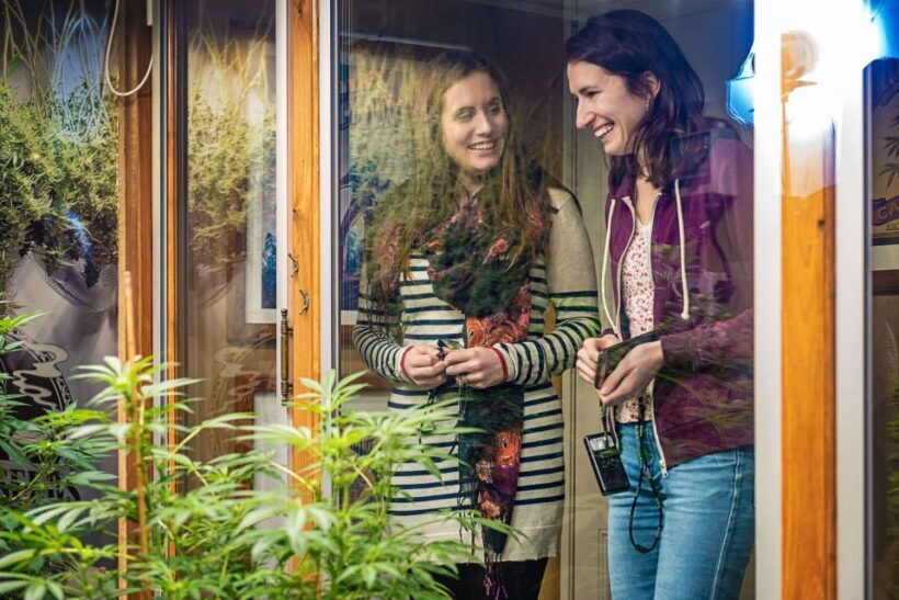 Amsterdam: Hash, Marihuana, and Hemp Museum Entry Ticket - The Experience: How the Tour Unfolds