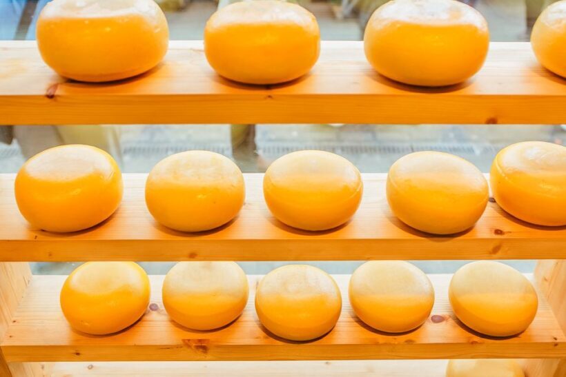 Amsterdam: Henri Willig Cheese Tasting Experience - FAQ