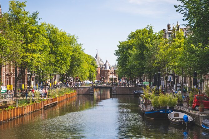 Amsterdam Highlights Small-Group Walking Tour - Customer Feedback and Reviews