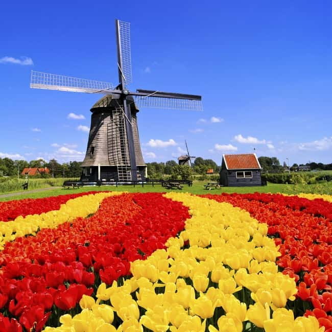 Amsterdam: Keukenhof and Tulip Fields Private Day Trip - A Practical Look at the Amsterdam: Keukenhof and Tulip Fields Private Day Trip