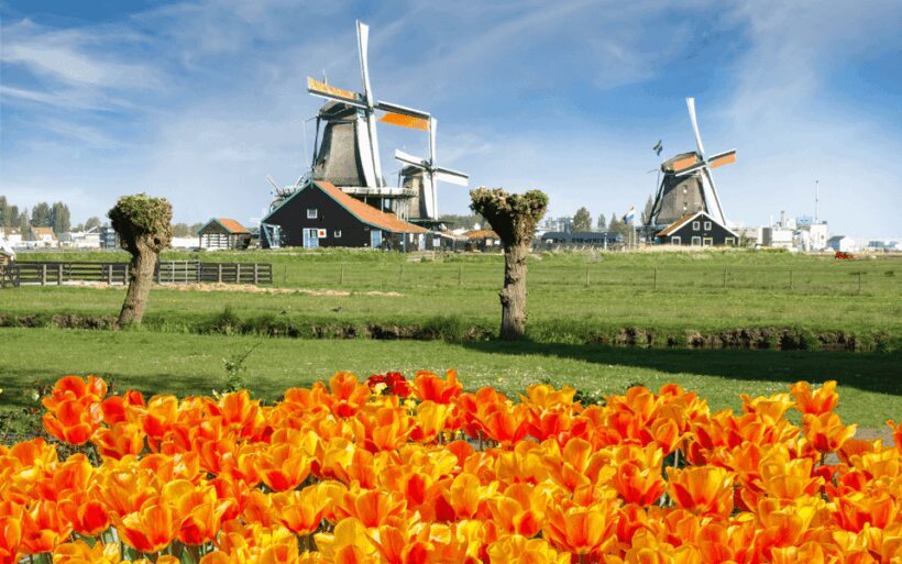 Amsterdam: Keukenhof and Zaanse Schans Windmills Day Trip - What Travelers Say: Authentic Perspectives
