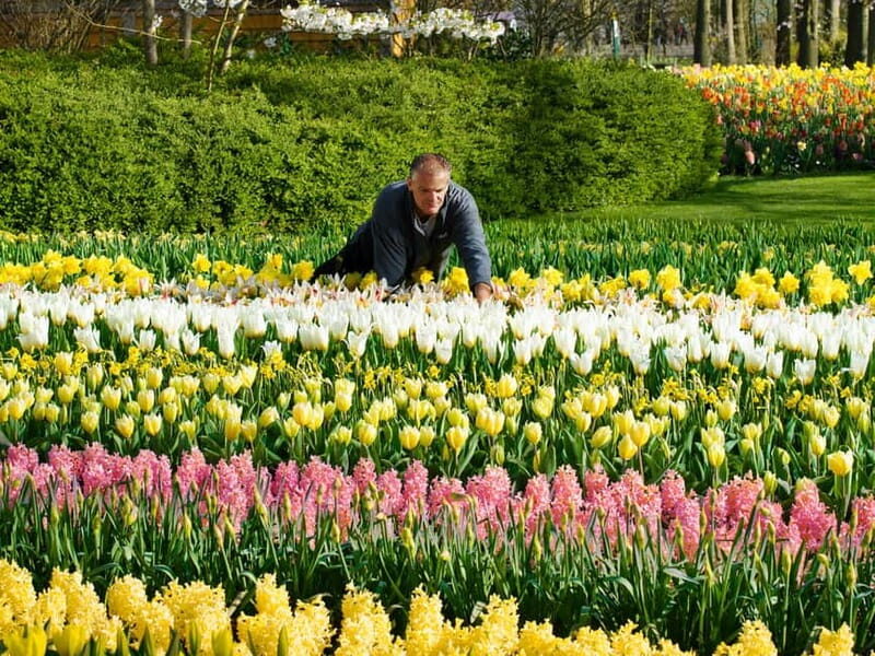 Amsterdam: Keukenhof Ticket and Roundtrip Shuttle Transfer - A Deep Dive into what to Expect