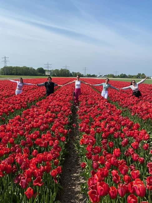 Amsterdam: Keukenhof, Tulip Farm Full-Day Tour with Cruise - A Complete Breakdown of the Tour Experience