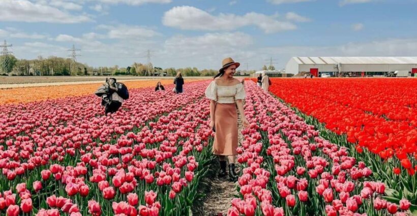 Amsterdam: Keukenhof, Tulip Farm Full-Day Tour with Cruise - The Sum Up
