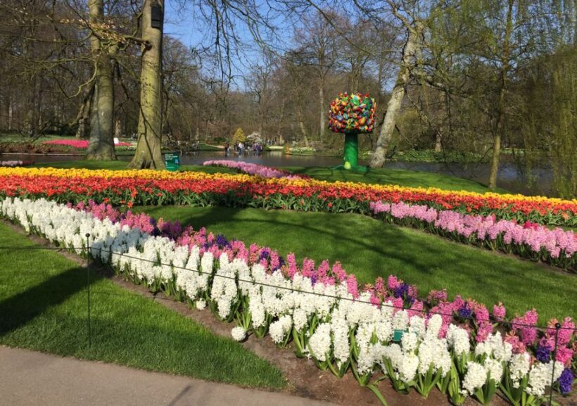 Amsterdam: Keukenhof Tulip Garden and Giethoorn Experience - A Detailed Look at the Tour Experience