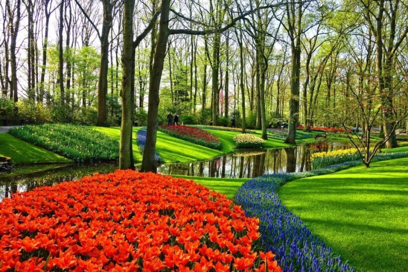 Amsterdam: Keukenhof & Zaanse Schans Windmills Private Tour - The Experience from Guest Reviews