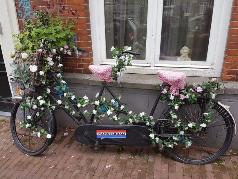 Amsterdam: Private Half-Day Countryside Bike Tour - The Experience: A Journey into Waterland’s Charm