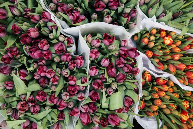 Amsterdam Private Tour: Highlights & Hidden Gems by Bike or Foot - A Taste of Local Cuisine: Snacks and Delicacies