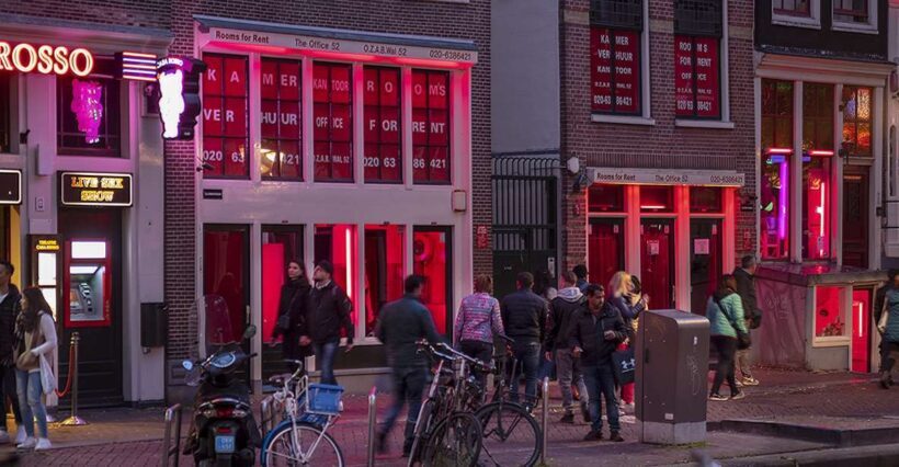 Amsterdam Red Light District and Old Town Walking Tour - A Closer Look at the Tour Experience