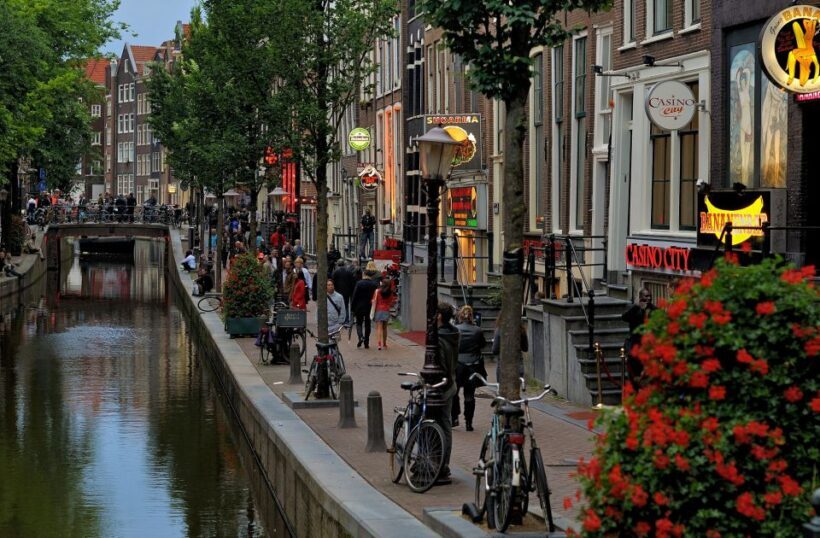 Amsterdam Red Light District tour with a local guide - Who Should Take This Tour?