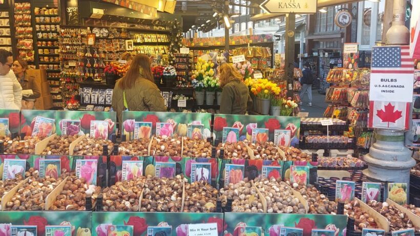 Amsterdam Shore Excursion: Highlights Walk & Canal Cruise - Exploring the Best of Amsterdam on a Shore Excursion
