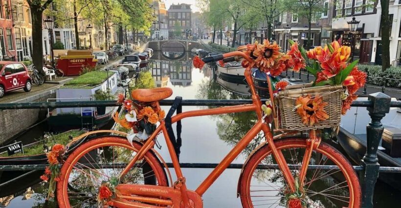 Amsterdam: Small Group Walking Tour with Fun Guide - Why This Tour Stands Out