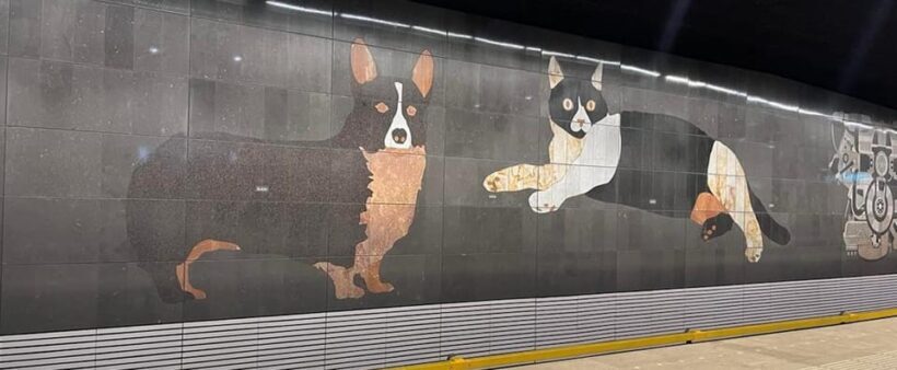 Amsterdam: The Art of the Underground Tour - What to Expect and Practical Tips