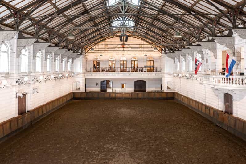 Amsterdam: The 'Hollandsche Manege' Stables Entry Ticket - Living Horses and Daily Routines