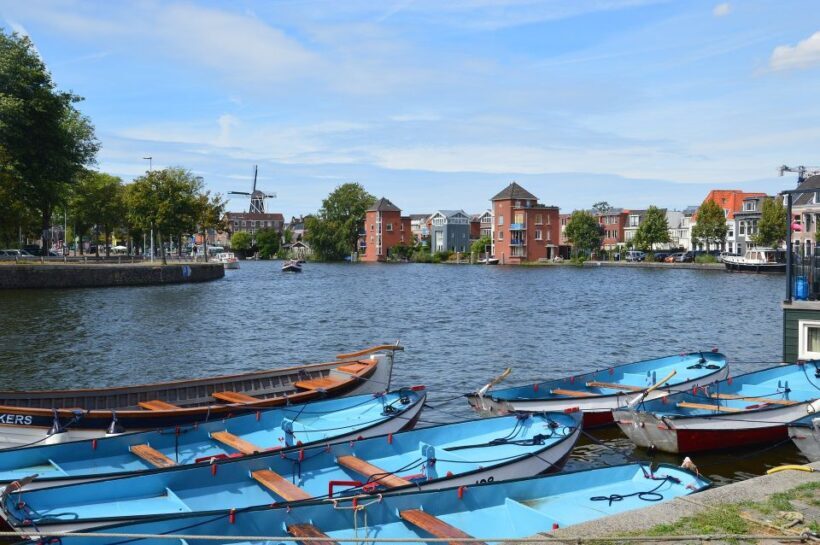 Amsterdam to Haarlem: Private Day-Trip Experience - The Sum Up