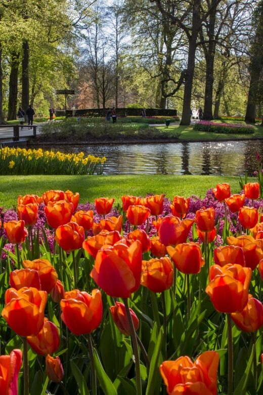 Amsterdam: Tour to Keukenhof Gardens with Windmill Cruise - Starting Point and Logistics