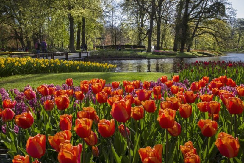 Amsterdam: Tour to Keukenhof Gardens with Windmill Cruise - The Value for Money