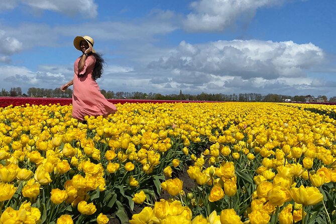 Amsterdam: Tulip Fields Day Tour with Lunch and a Windmill Visit - Who This Tour Is Best For