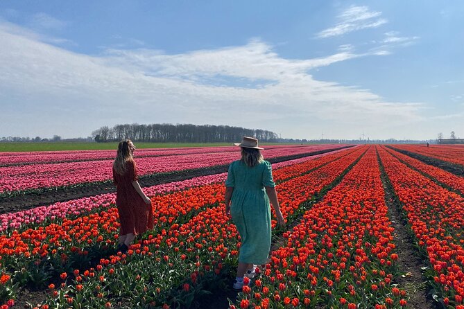 Amsterdam: Tulip Fields Day Tour with Lunch and a Windmill Visit - FAQs