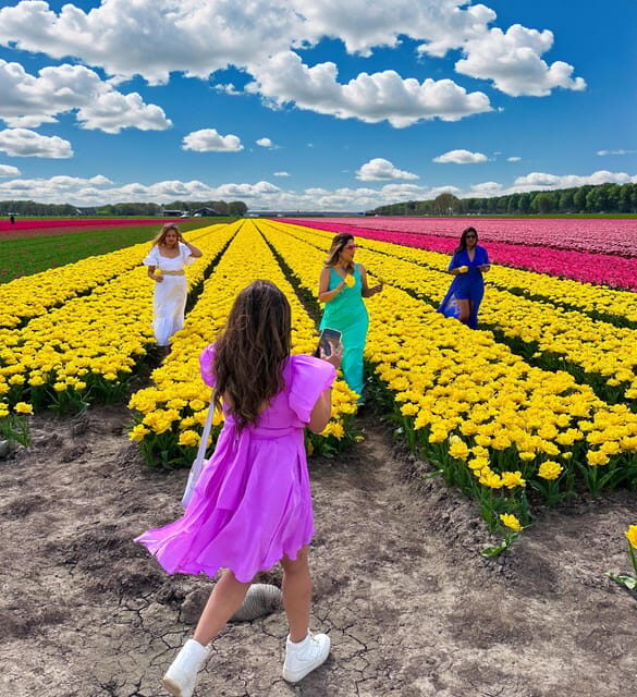 Amsterdam: Tulip Fields Day Tour with Lunch & Windmill - Key Points