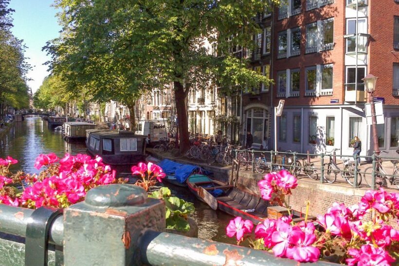 Amsterdam Walking Tour and Canal Cruise - The Canal Cruise: Water-Level Views of Amsterdam