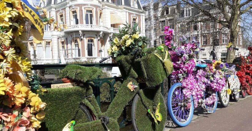 Amsterdam Walking Tour and Canal Cruise - Who Will Love This Tour?