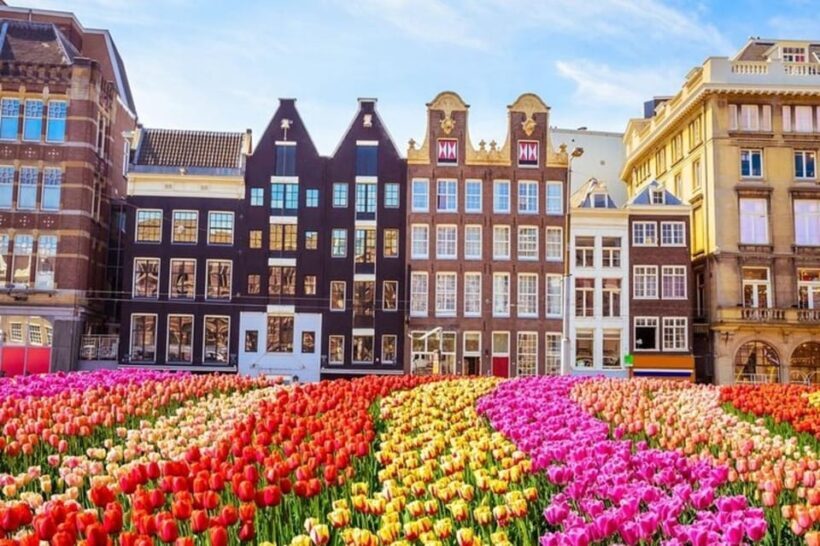 Amsterdam: Walking Tour of Historic Center - Exploring the Heart of Amsterdam: What to Expect
