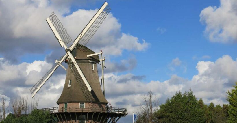Amsterdam: Windmill Guided Tour - An Authentic Windmill Experience in Amsterdam
