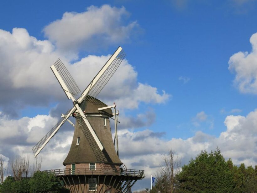 Amsterdam: Windmill Guided Tour - What to Expect on the Tour