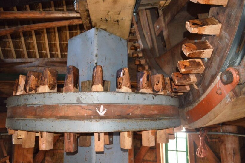 Amsterdam: Windmill Guided Tour - Final Thoughts on the Tour Experience