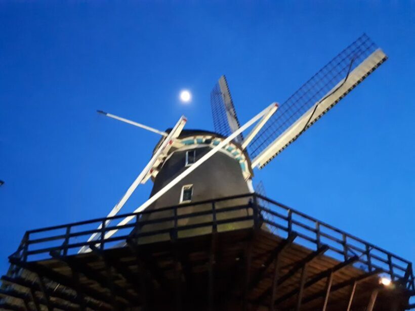 Amsterdam: Windmill Guided Tour - Who Should Take This Tour?