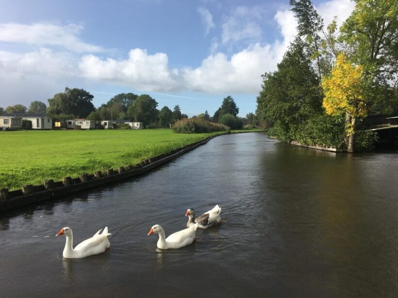 Amsterdam: Zaanse Schans and Giethoorn Day Trip with Cruise - Who Will Love This Tour?