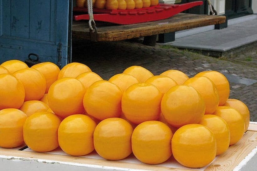 Amsterdam: Zaanse Schans, Edam, Volendam, Marken Guided Tour - Key Points