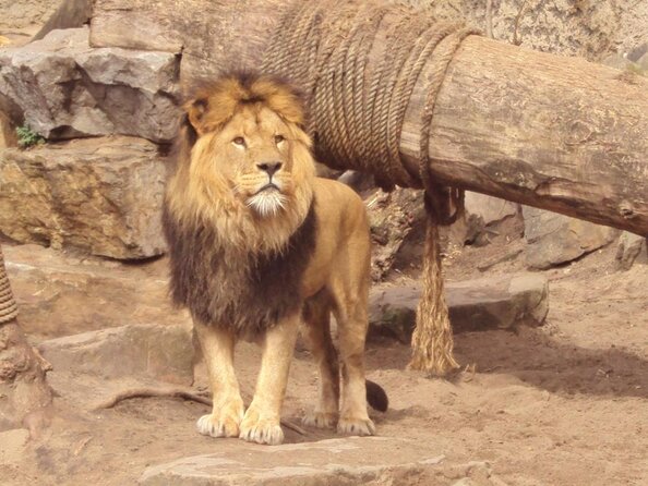 Amsterdams Highlights E-Bike Tour Review - Additional Tour Information